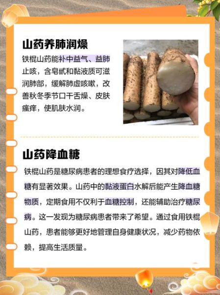 铁棍山药哪些人不能吃_铁棍山药禁忌人群-第1张图片-山城妙识 铁棍山药哪些人不能吃_铁棍山药禁忌人群-第1张图片-山城妙识
