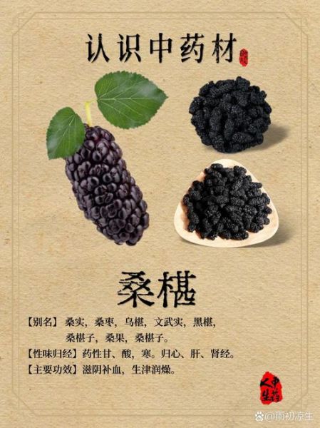 桑葚吃了有什么好处_桑葚的营养价值与功效-第3张图片-山城妙识