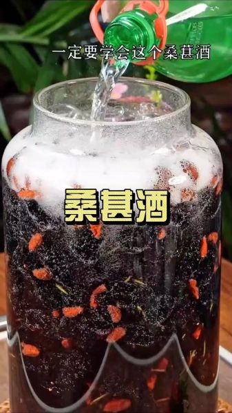 自酿桑葚酒怎么做_桑葚酒发酵多久能喝-第2张图片-山城妙识