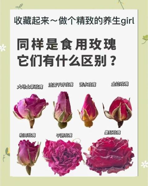 玫瑰花降火还是上火_玫瑰花茶会上火吗-第1张图片-山城妙识