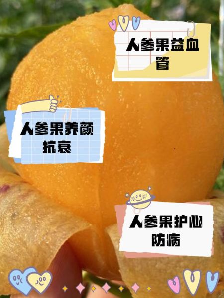 人参果的功效与作用_人参果怎么吃最营养-第2张图片-山城妙识