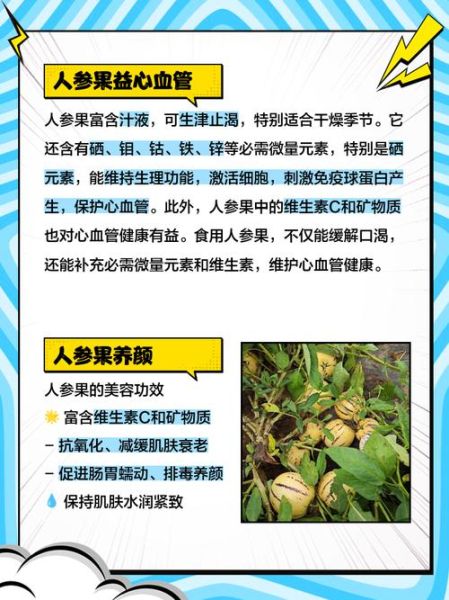 人参果的功效与作用_人参果怎么吃最营养-第1张图片-山城妙识