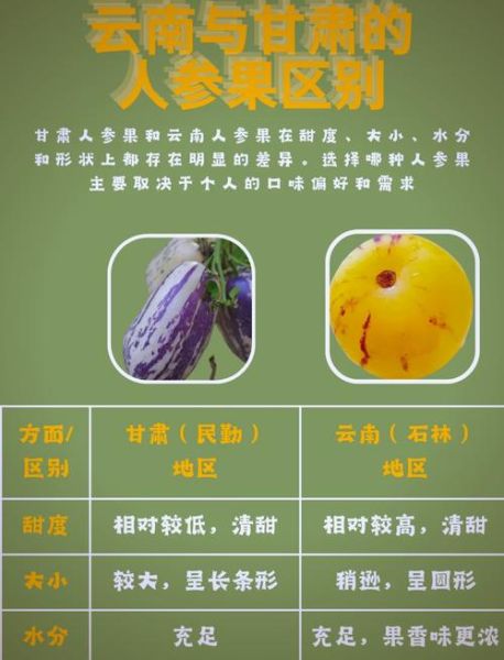 人参果的功效与作用_人参果怎么吃最营养-第3张图片-山城妙识