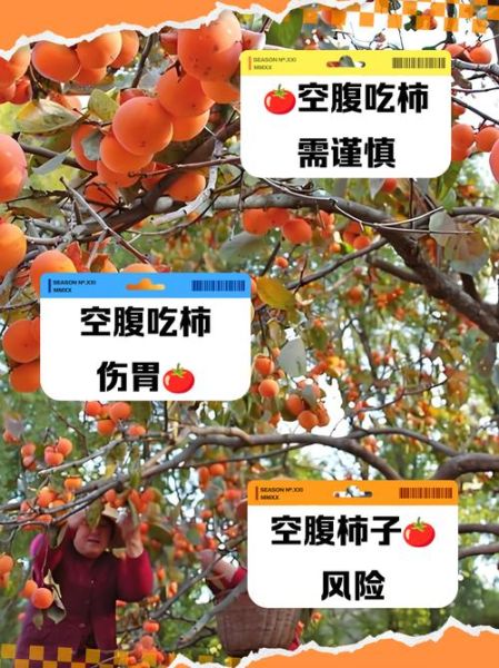 吃柿子有什么好处_空腹能吃柿子吗-第2张图片-山城妙识