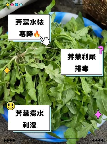 荠菜煮水喝治月子病吗_月子病偏方真相-第3张图片-山城妙识