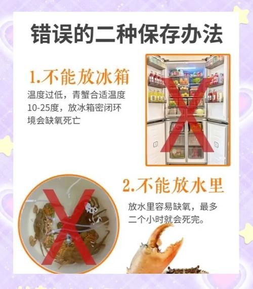 青蟹怎么保存_活青蟹能放冰箱吗-第1张图片-山城妙识