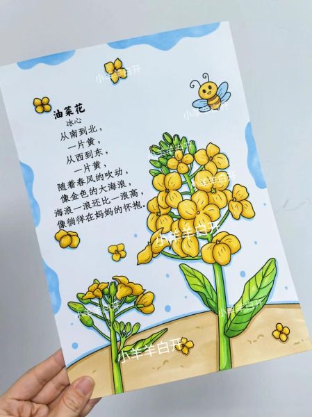 油菜花的花语是什么_油菜花诗句有哪些-第1张图片-山城妙识