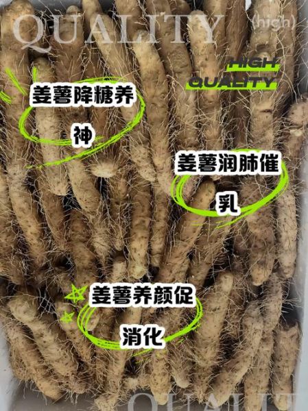 姜薯怎么做好吃_姜薯的功效与作用-第2张图片-山城妙识 姜薯怎么做好吃_姜薯的功效与作用-第2张图片-山城妙识