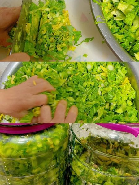 雪里蕻怎么腌制_雪里蕻腌制多久能吃-第1张图片-山城妙识