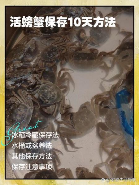 螃蟹怎么保存_螃蟹放冰箱能活多久-第2张图片-山城妙识