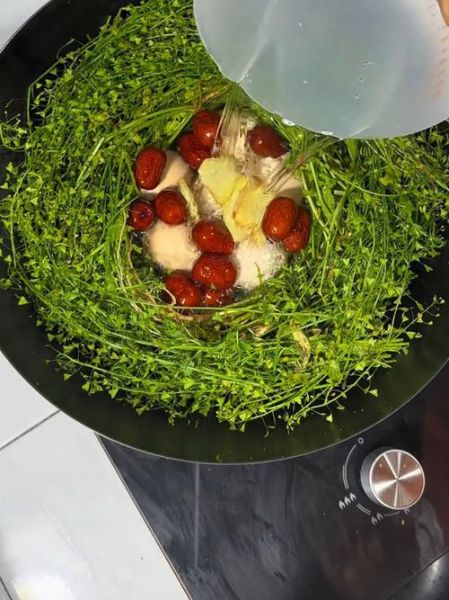 三月三荠荠菜煮鸡蛋的功效_荠荠菜煮鸡蛋有什么功效-第3张图片-山城妙识