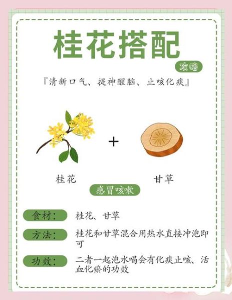 桂花和什么一起泡水喝好_桂花茶最佳搭配-第1张图片-山城妙识