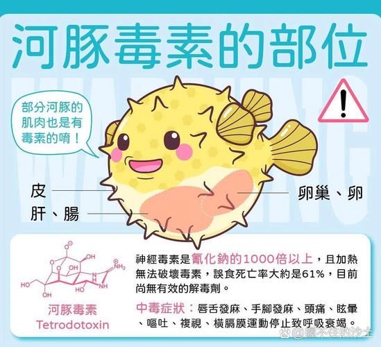 河豚哪里有毒_河豚毒素分布图-第2张图片-山城妙识 河豚哪里有毒_河豚毒素分布图-第2张图片-山城妙识