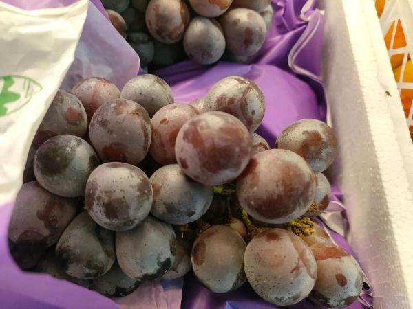 夏黑葡萄多少钱一斤_夏黑葡萄价格行情-第1张图片-山城妙识