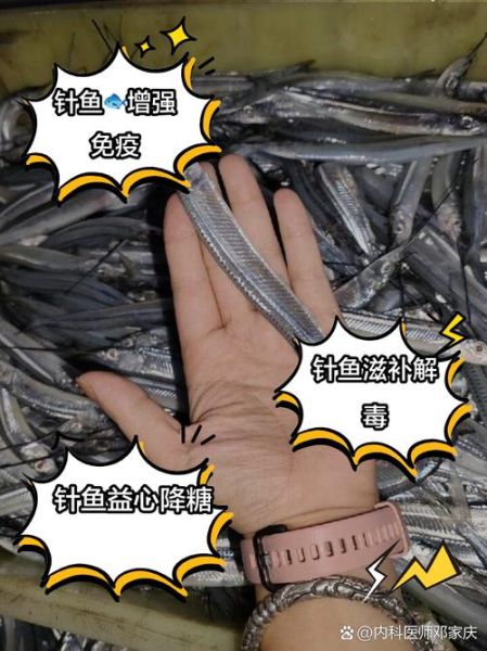 钢针鱼是什么鱼_钢针鱼怎么吃-第1张图片-山城妙识