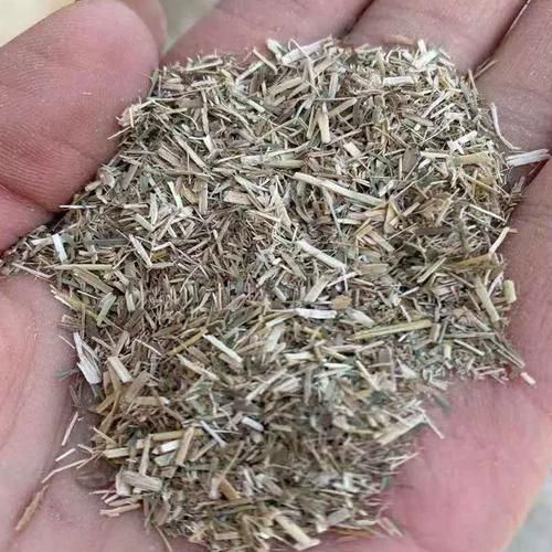 苜蓿粉的功效与作用_苜蓿粉适合什么人吃-第2张图片-山城妙识