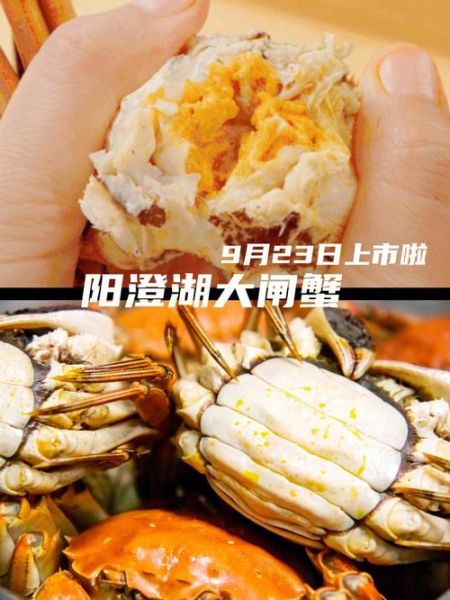 阳澄湖大闸蟹什么时候上市_上市时间准确吗-第1张图片-山城妙识 阳澄湖大闸蟹什么时候上市_上市时间准确吗-第1张图片-山城妙识