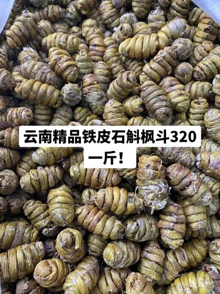 铁皮石斛图片及价格_铁皮石斛多少钱一斤-第1张图片-山城妙识 铁皮石斛图片及价格_铁皮石斛多少钱一斤-第1张图片-山城妙识