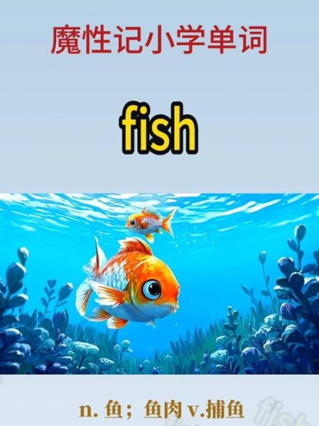 what_is_grouper_fish_called_in_english_how_to_cook_grouper-第1张图片-山城妙识