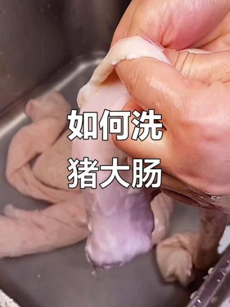 肥肠怎么洗不臭又干净_肥肠清洗视频教程-第2张图片-山城妙识