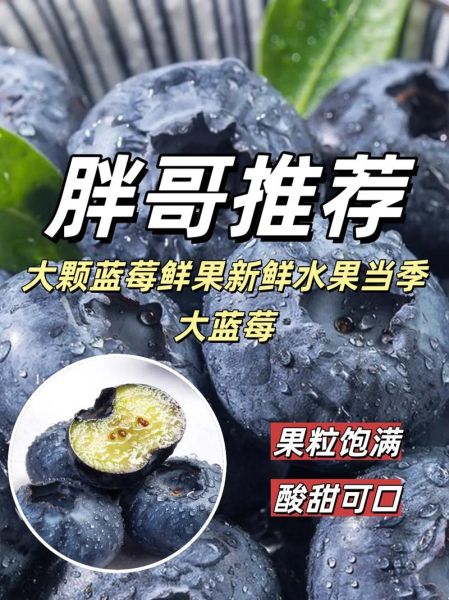 蓝莓价格多少钱一斤2021_2021蓝莓一斤多少钱-第3张图片-山城妙识 蓝莓价格多少钱一斤2021_2021蓝莓一斤多少钱-第3张图片-山城妙识