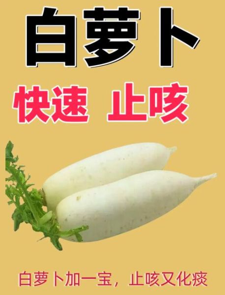 气管炎偏方白萝卜怎么做_白萝卜治气管炎有效吗-第2张图片-山城妙识