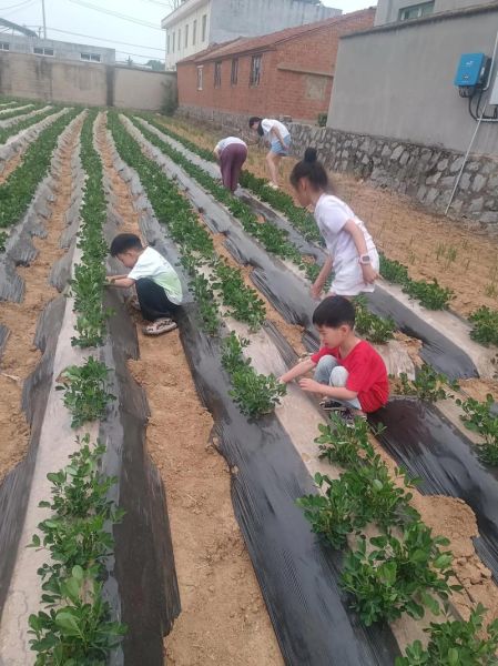 忆苦思甜是什么意思_如何在生活中实践-第3张图片-山城妙识