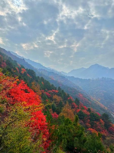 层林尽染是什么意思_层林尽染最佳观赏时间-第1张图片-山城妙识 层林尽染是什么意思_层林尽染最佳观赏时间-第1张图片-山城妙识
