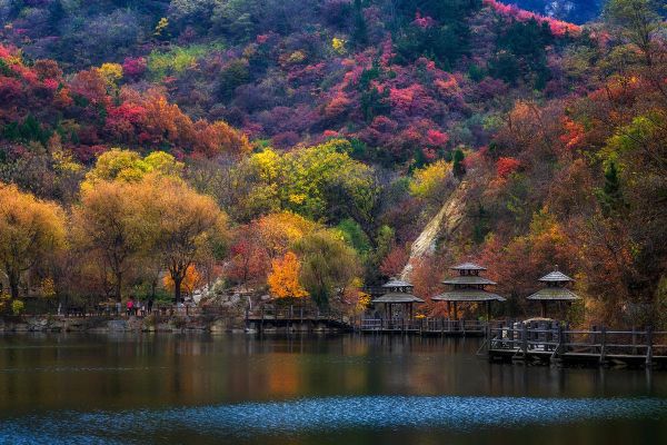 层林尽染是什么意思_层林尽染最佳观赏时间-第2张图片-山城妙识 层林尽染是什么意思_层林尽染最佳观赏时间-第2张图片-山城妙识