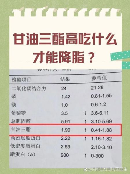 甘油三酯高是怎么回事_甘油三酯高吃什么能降-第1张图片-山城妙识 甘油三酯高是怎么回事_甘油三酯高吃什么能降-第1张图片-山城妙识