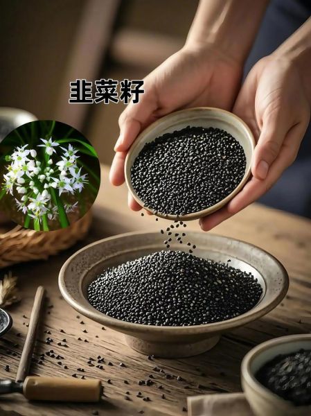 韭菜籽泡水喝能壮阳吗_韭菜籽壮阳的正确方法-第1张图片-山城妙识