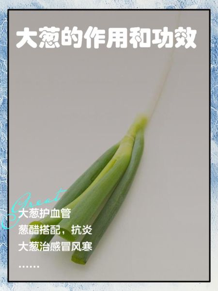 大葱的功效与作用_大葱怎么吃最健康-第1张图片-山城妙识 大葱的功效与作用_大葱怎么吃最健康-第1张图片-山城妙识