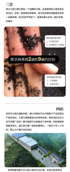 九蒸九晒黑芝麻丸骗局揭秘_如何辨别真假-第1张图片-山城妙识