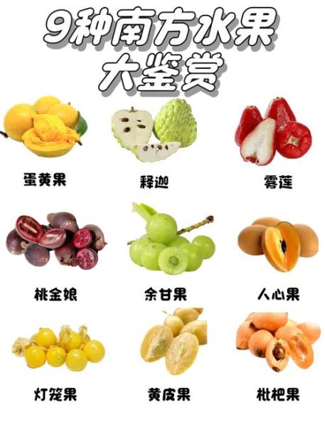 南方水果有哪些品种_南方常见热带水果名称-第1张图片-山城妙识 南方水果有哪些品种_南方常见热带水果名称-第1张图片-山城妙识