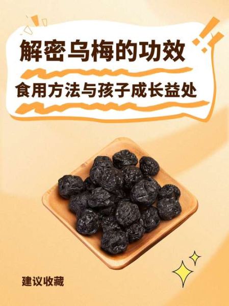 乌梅怎么吃效果好_乌梅的正确吃法与禁忌-第2张图片-山城妙识
