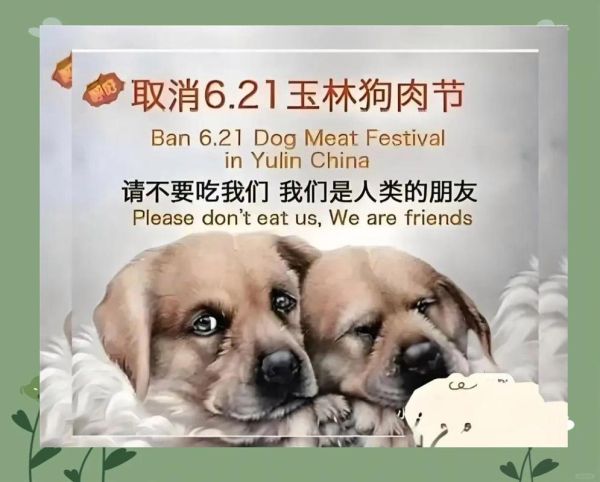 玉林狗肉节是什么_玉林狗肉节争议-第2张图片-山城妙识 玉林狗肉节是什么_玉林狗肉节争议-第2张图片-山城妙识