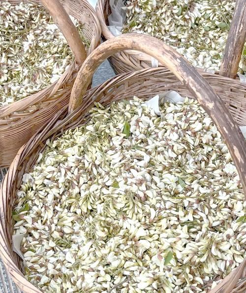 洋槐花怎么吃最好_洋槐花做法大全-第1张图片-山城妙识