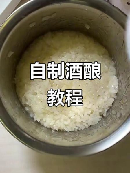 酸奶机做酒酿怎么做_酸奶机酒酿窍门-第2张图片-山城妙识