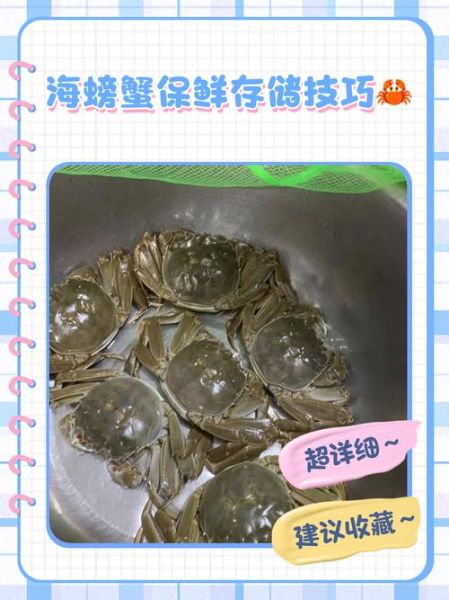 新鲜海螃蟹怎么保存_海螃蟹能放冰箱多久-第2张图片-山城妙识