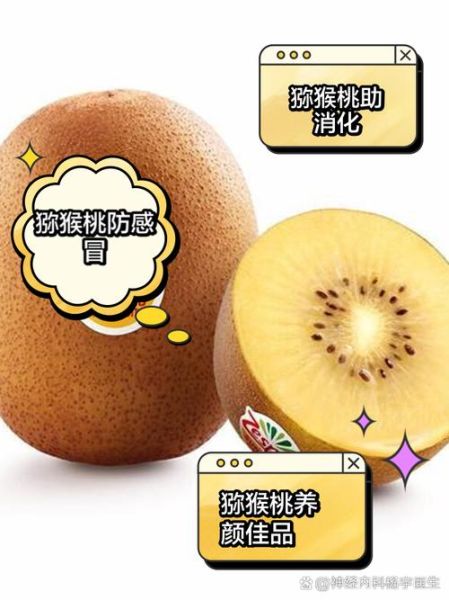 奇异果可以减肥吗_奇异果减肥的正确吃法-第1张图片-山城妙识 奇异果可以减肥吗_奇异果减肥的正确吃法-第1张图片-山城妙识