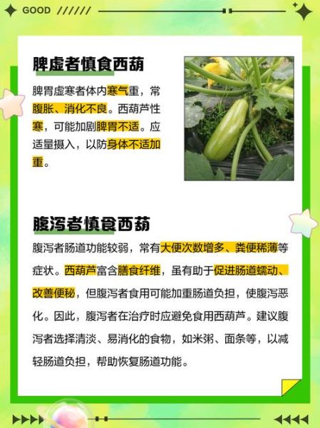 西葫芦什么人不能吃_西葫芦禁忌人群有哪些-第1张图片-山城妙识