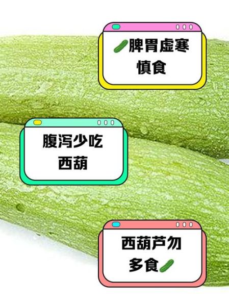 西葫芦什么人不能吃_西葫芦禁忌人群有哪些-第2张图片-山城妙识