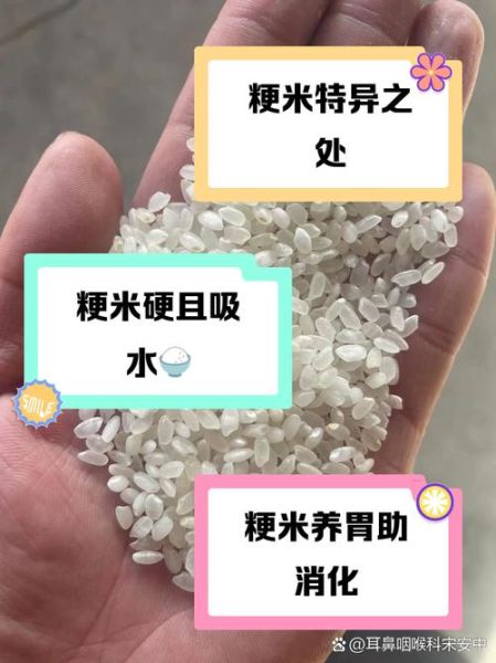 粳米是什么米_和大米有区别吗-第2张图片-山城妙识