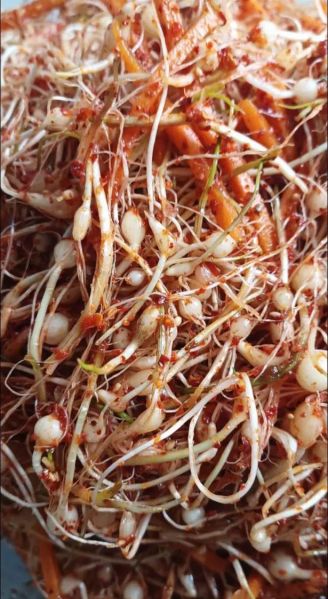 野生小蒜怎么腌制保存_能放多久不坏-第3张图片-山城妙识