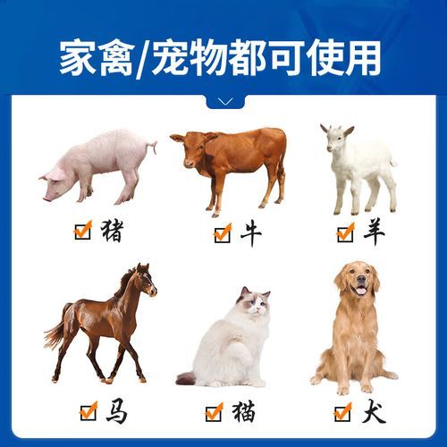 穿心莲注射液副作用_穿心莲注射液用法用量-第1张图片-山城妙识