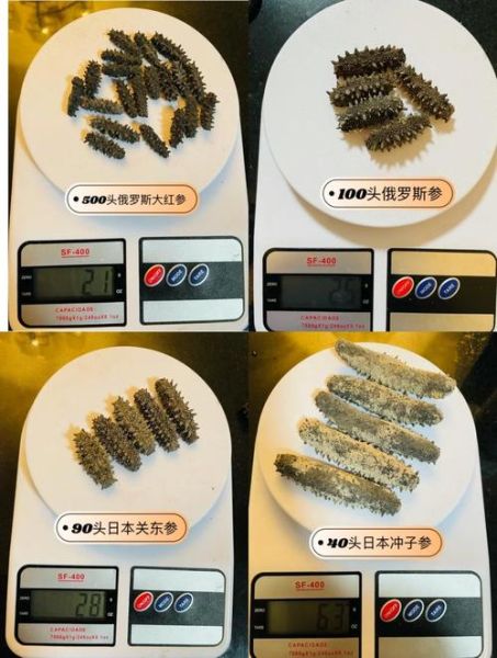 海参泡发多久_海参怎么泡发才最大-第1张图片-山城妙识 海参泡发多久_海参怎么泡发才最大-第1张图片-山城妙识