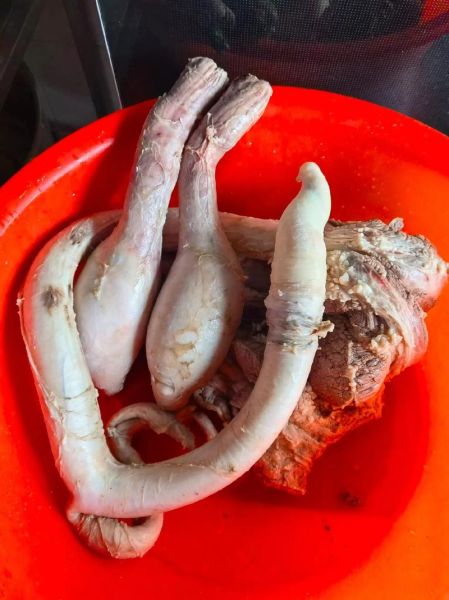 牛鞭长什么样子_牛鞭图片真实形态-第1张图片-山城妙识