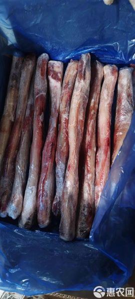 牛鞭长什么样子_牛鞭图片真实形态-第2张图片-山城妙识