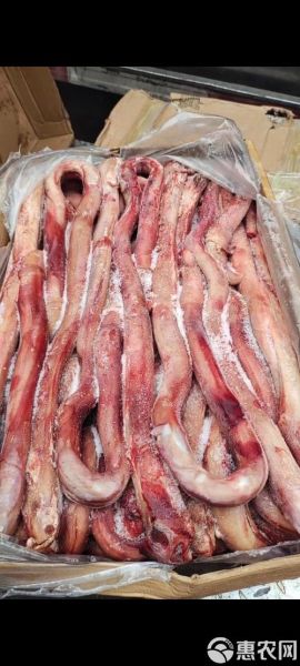 牛鞭长什么样子_牛鞭图片真实形态-第3张图片-山城妙识