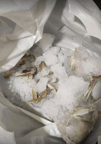 冷藏的螃蟹死了还能吃吗_如何判断是否变质-第1张图片-山城妙识